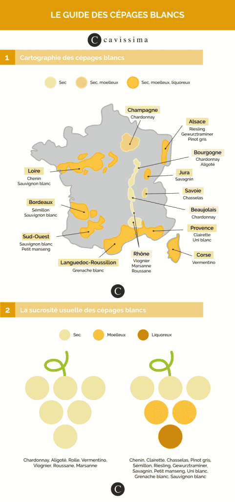 Le guide des cépages blancs - Cavissima : Le Blog vin